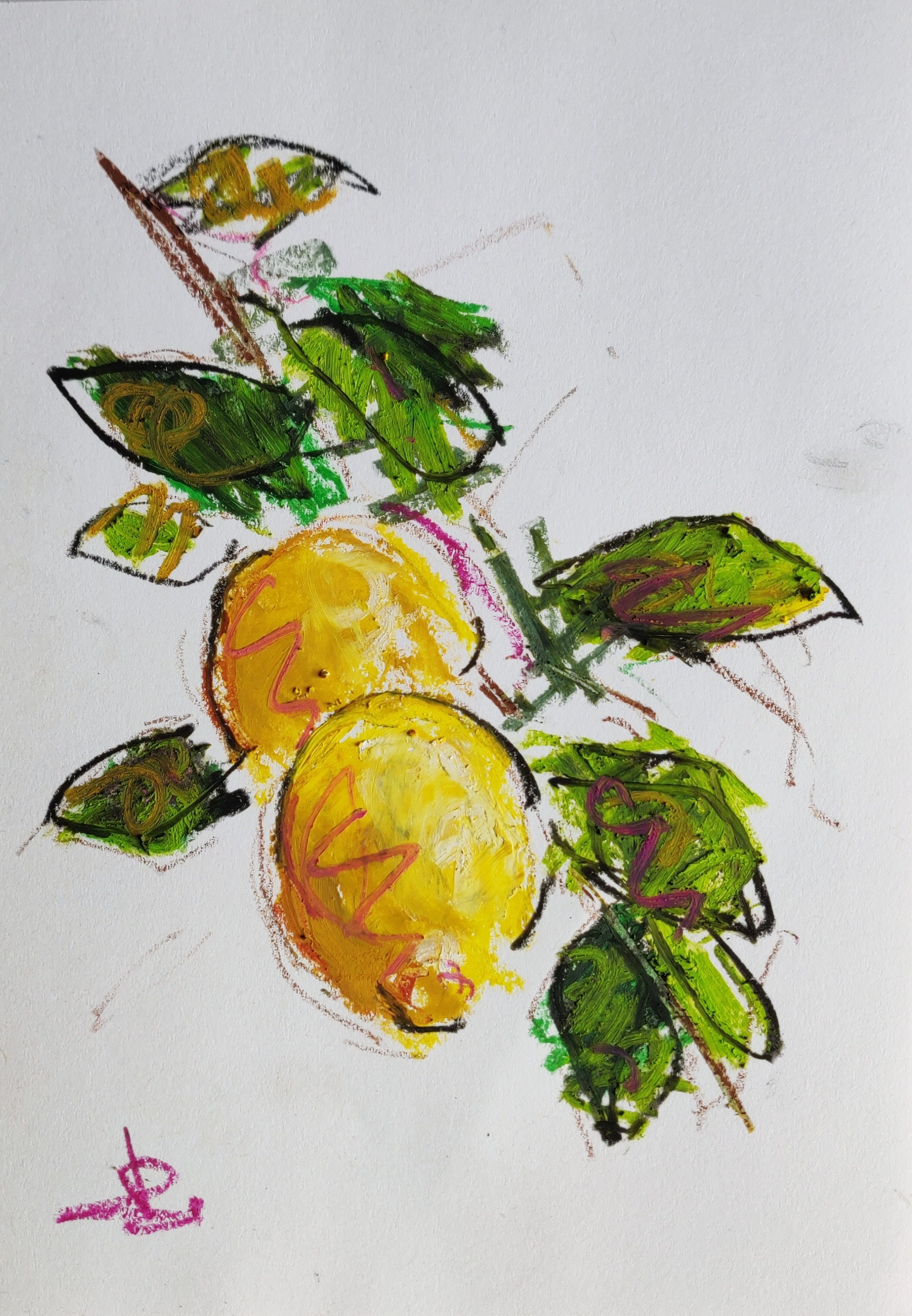Lemon Tree Illustration
