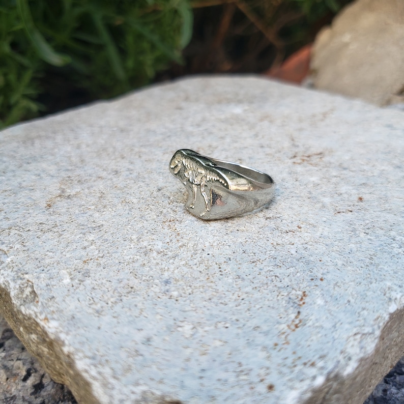 T-rex Fossil Wax Seal Signet Ring | Etsy