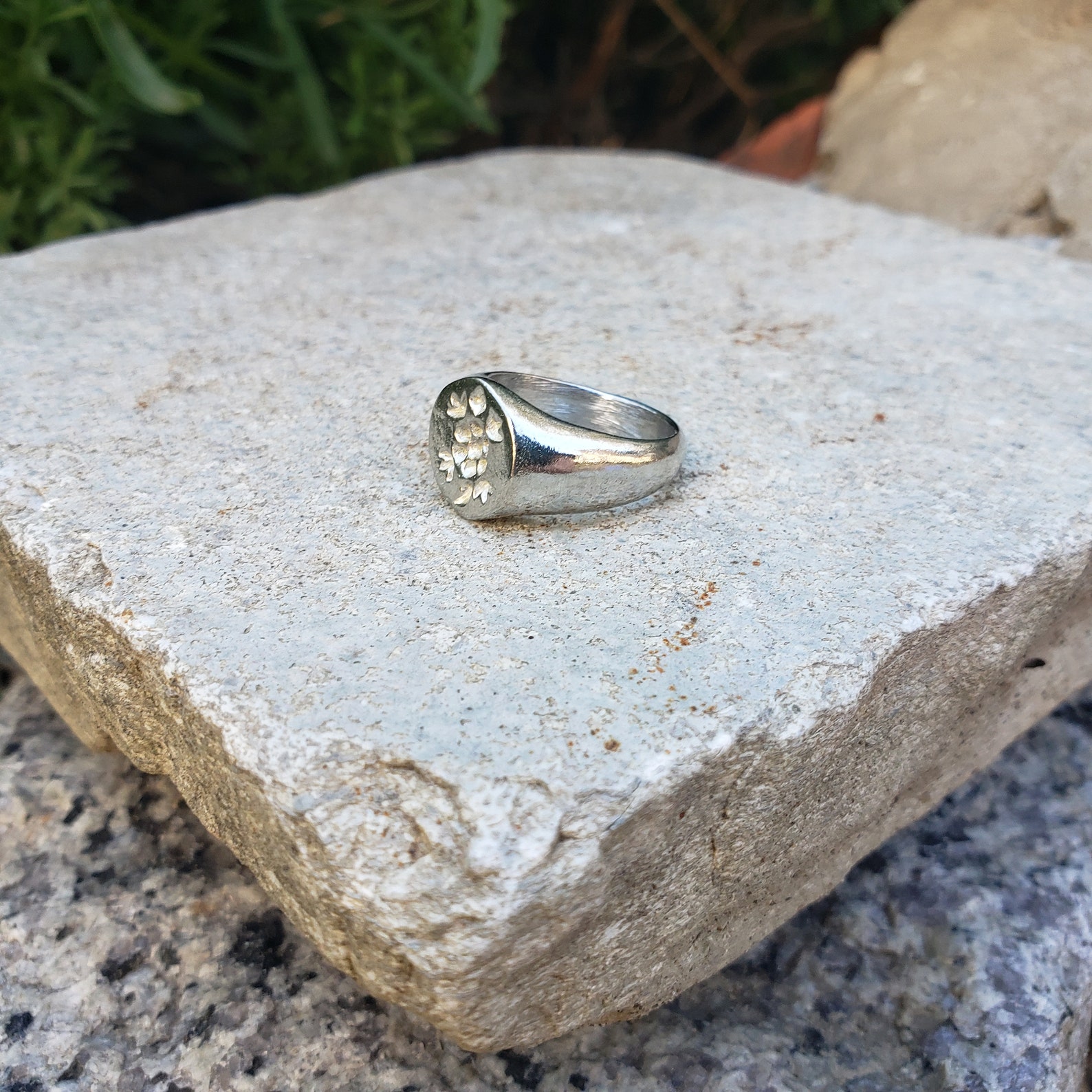 Tortoise Signet Ring - Etsy