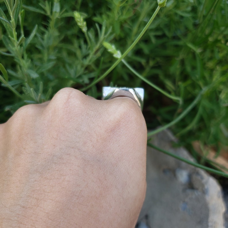 T-rex Fossil Wax Seal Signet Ring | Etsy