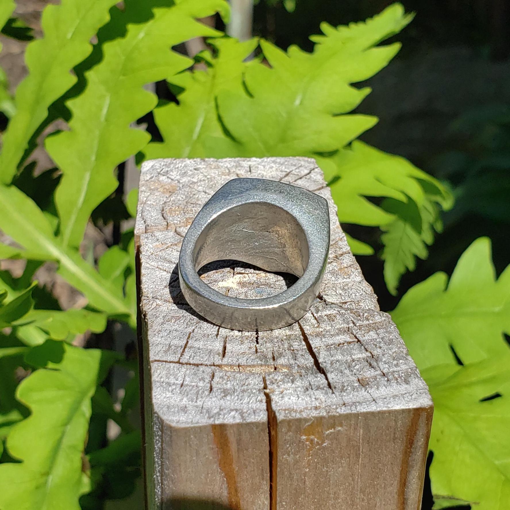 Pigface Helm Wax Seal Signet Ring - Etsy