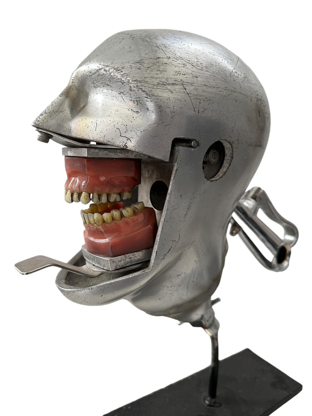 Rare Aluminum Dental Phantom Head - Etsy