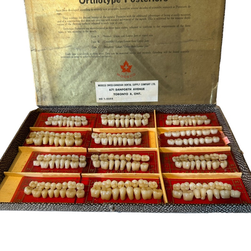 False Teeth - Etsy