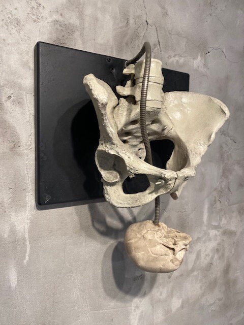 Childbirth Pelvis Skeleton and Fetal Skull Model Demonstrator - Etsy