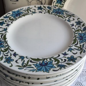 Midwinter Spanish Garden Dinner Plates 10.4" Rimmed - Etsy