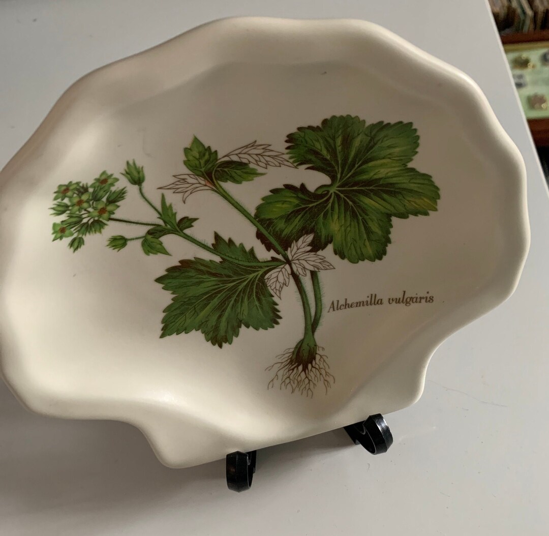 Poole Pottery Country Lane Shell Dish - Etsy