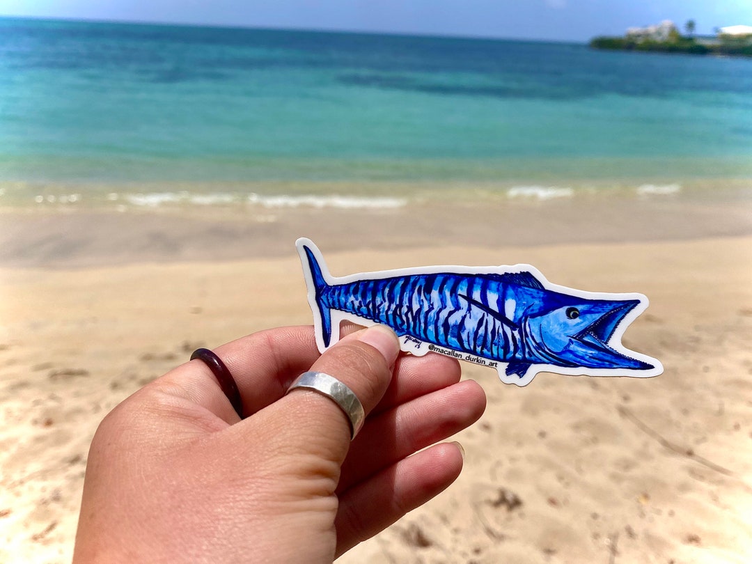 4” Wahoo Sticker - Etsy