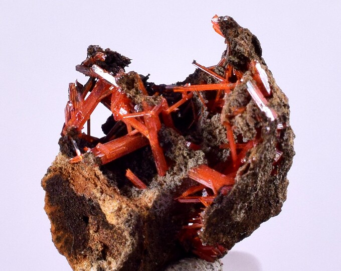 1.6cms GEM RED CROCOITE Crystal Cluster Matrix Adelaide Mine Australia ...