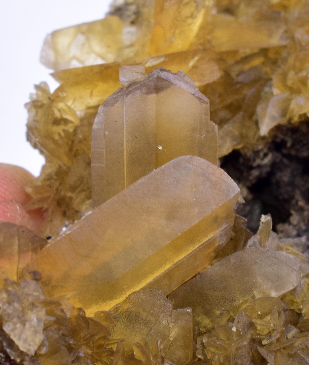 7.1cms GOLDEN SELENITE CRYSTALS Cluster Fish Tail Peru Yellow Gypsum ...