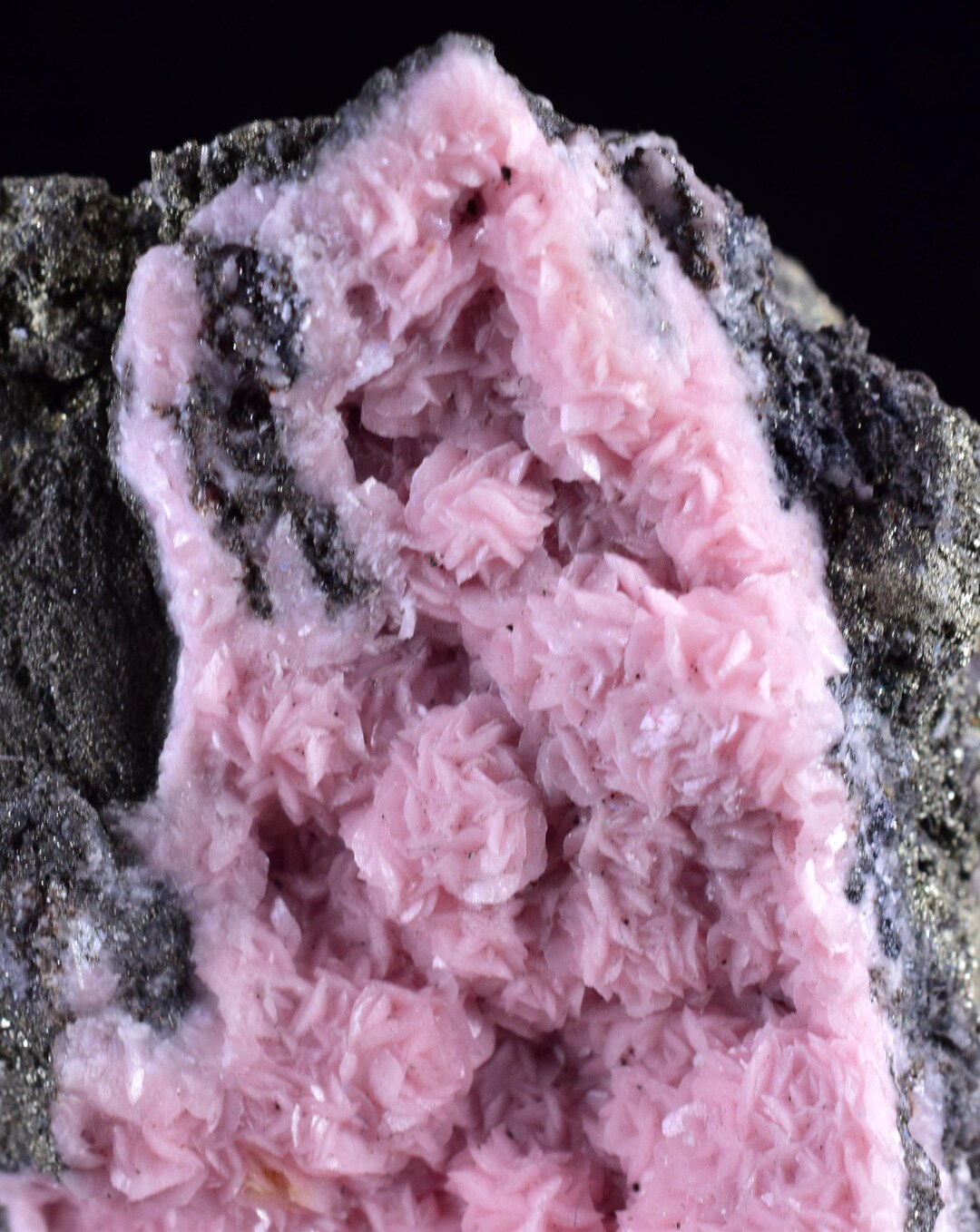 6.2cms RHODOCHROSITE ROSETTE PYRITE Peru Crystals Collector Mineral ...