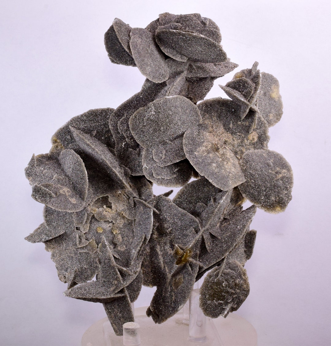 14.5ms SELENITE DESERT ROSE Gypsum Crystals Collectors Peru Mineral ...