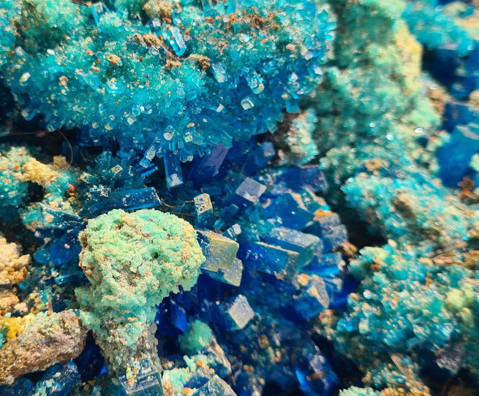 50cms MUSEUM NATURAL CHALCANTHITE Giant Peru Copper Botryoidal - Etsy