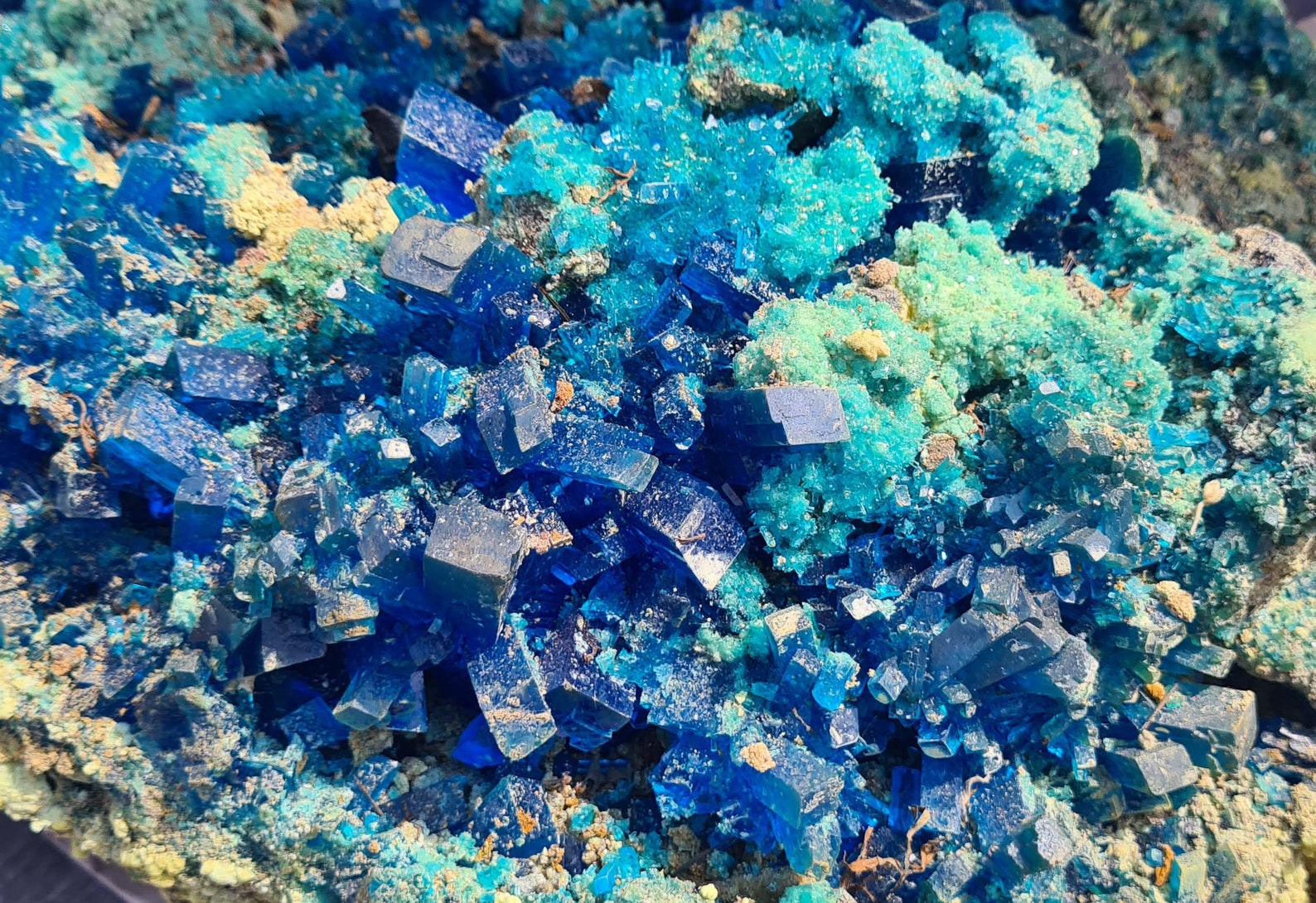 50cms MUSEUM NATURAL CHALCANTHITE Giant Peru Copper Botryoidal - Etsy