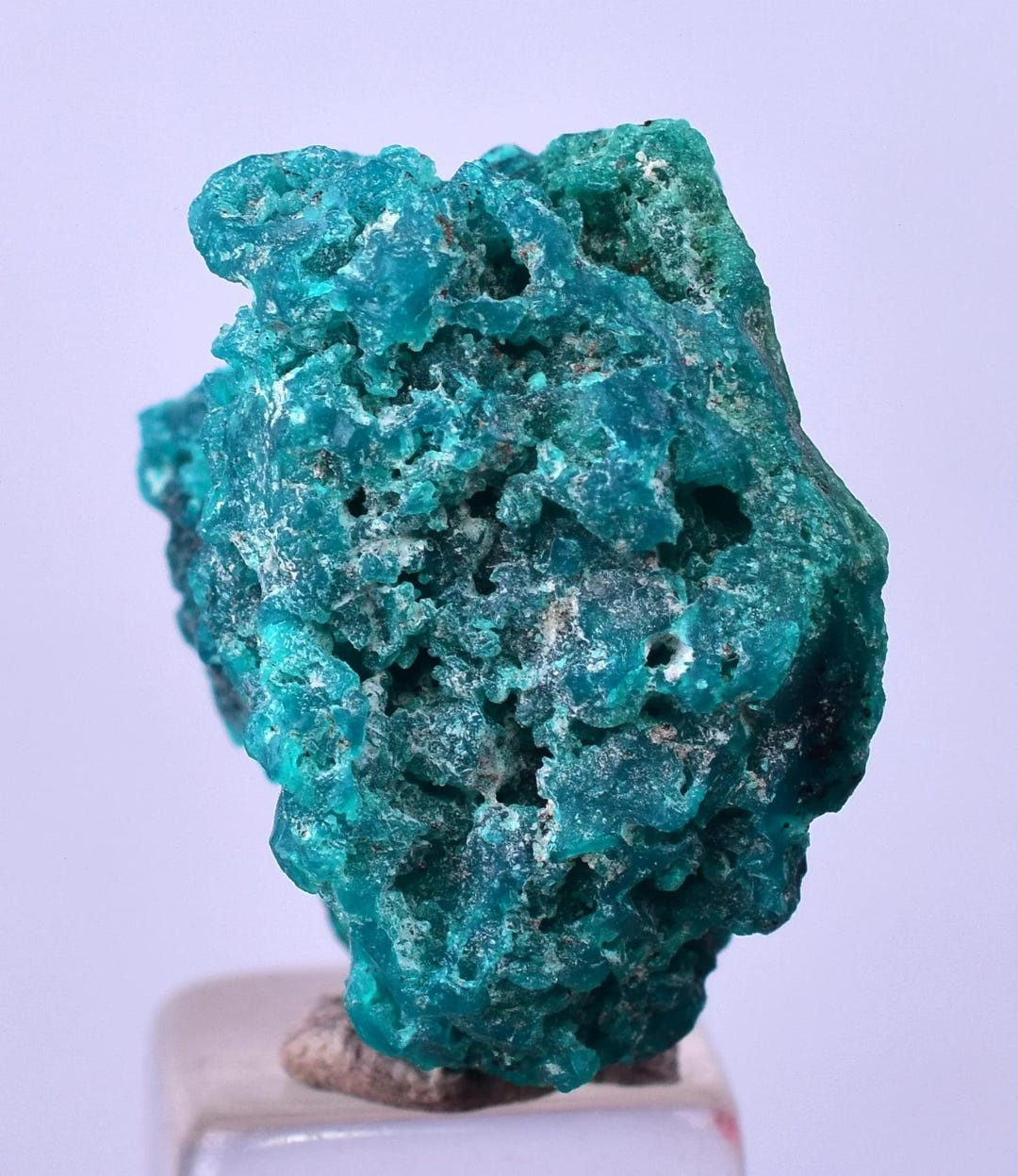 1 9cm GEM BLUE MALACHITE Pseudomorph Chrysocolla Peru Rosette Crystal ...