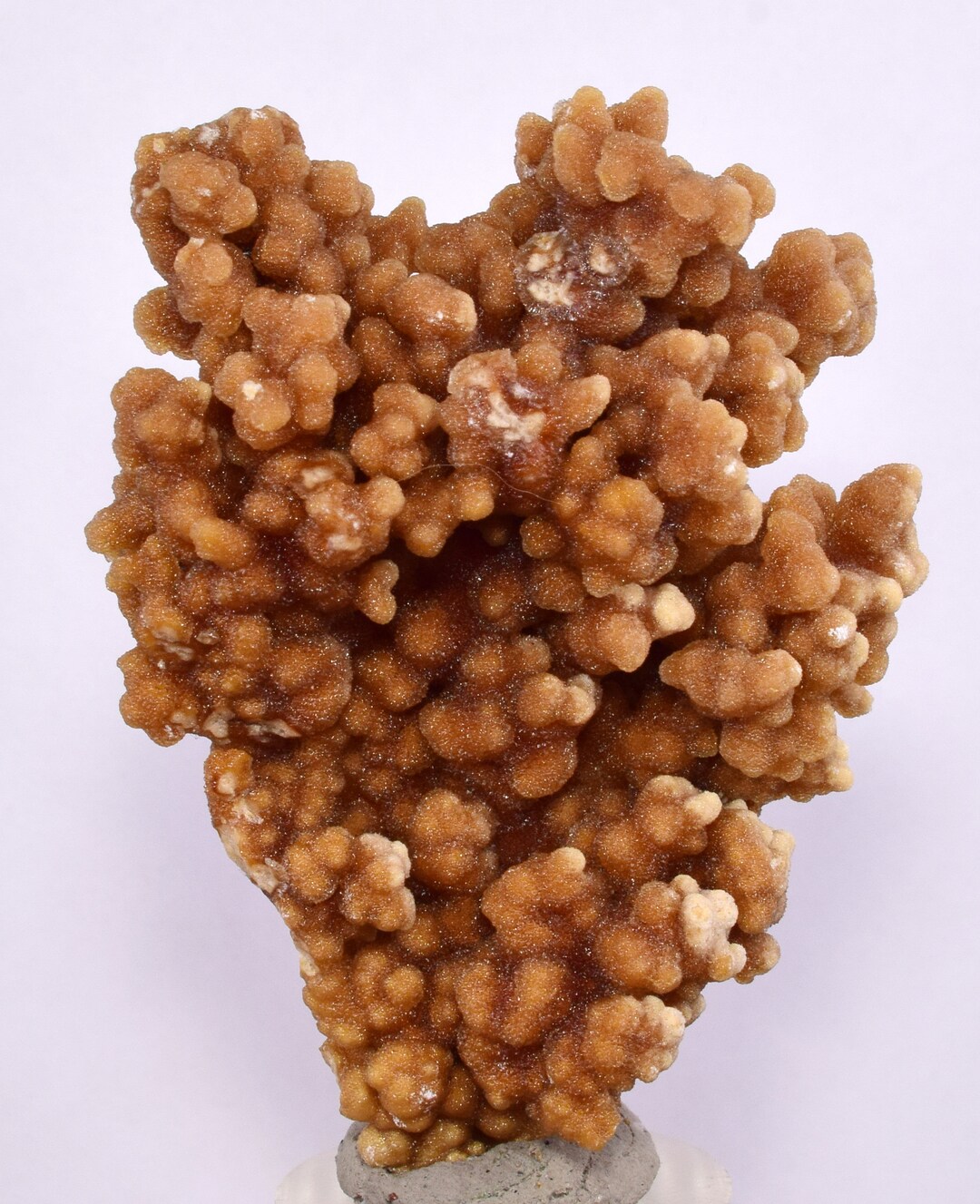 6cms ARAGONITE BOTRYOIDAL CRYSTALS Peru Mineral Specimen Collector E115 ...