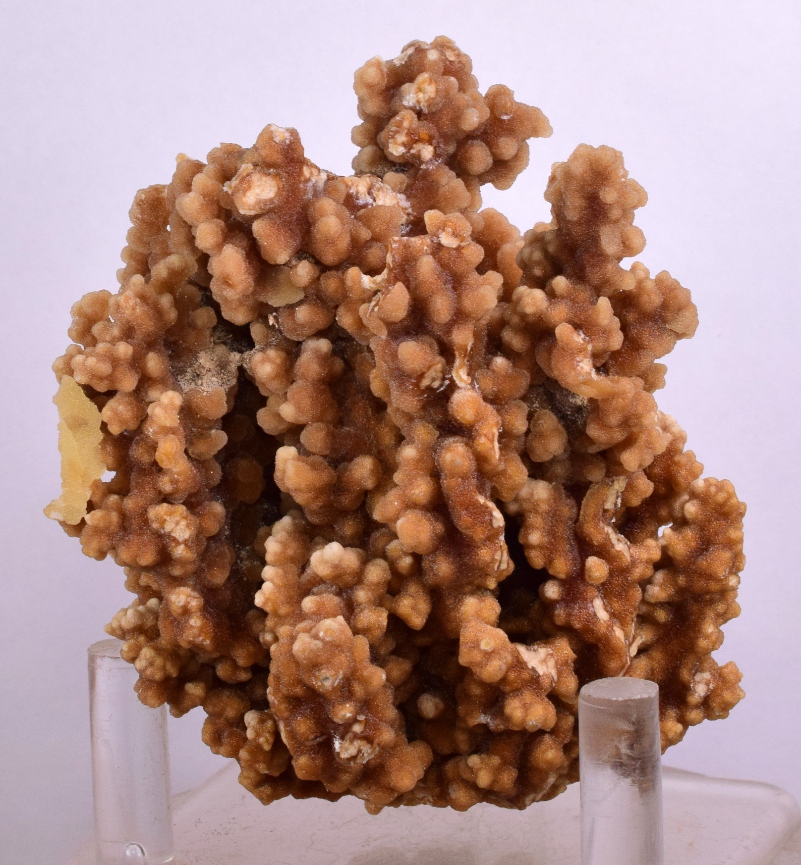 7.6cms ARAGONITE BOTRYOIDAL CRYSTALS Peru Mineral Specimen Collector ...