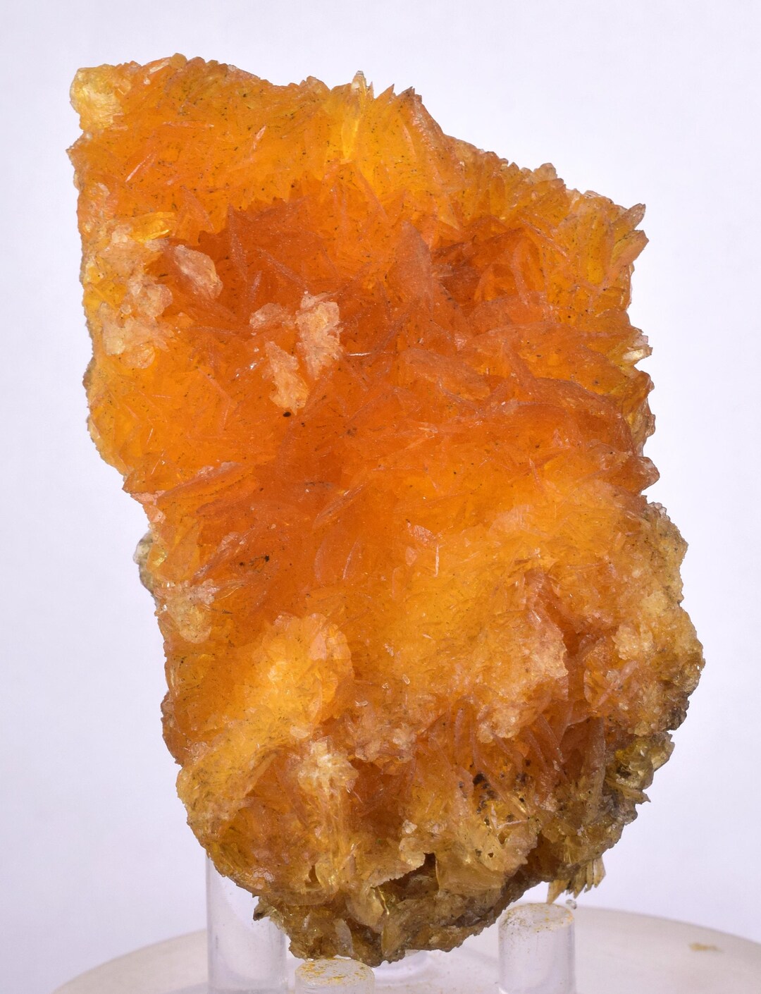 8cms GOLDEN SELENITE CRYSTALS Cluster Fish Tail Peru Yellow Gypsum ...