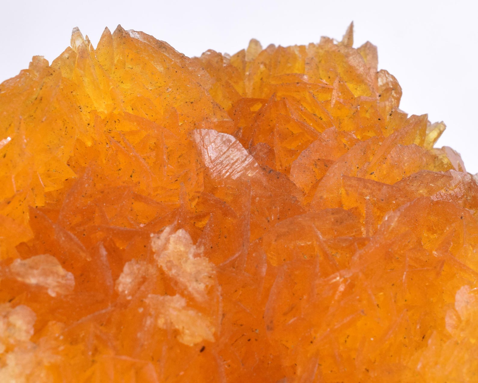 8cms GOLDEN SELENITE CRYSTALS Cluster Fish Tail Peru Yellow Gypsum ...
