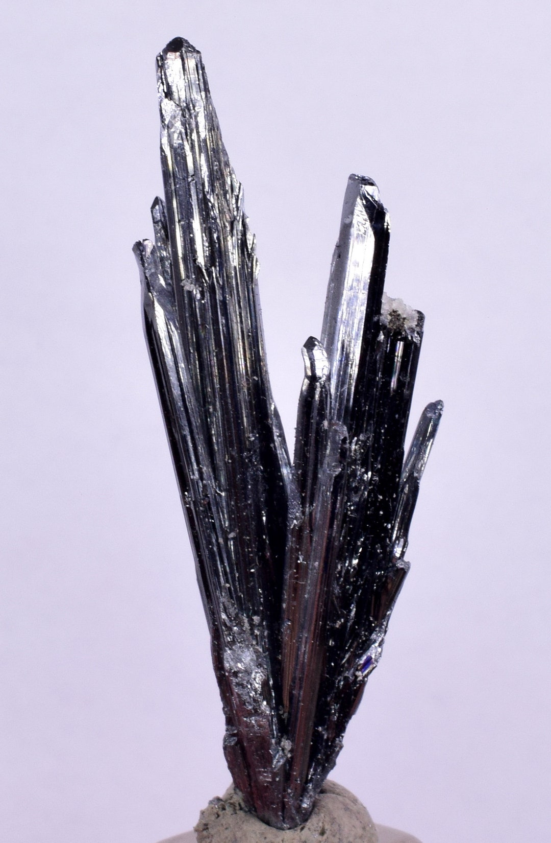 4.3cms STIBNITE CRYSTAL PERU Mineral Specimen Collector M247 - Etsy