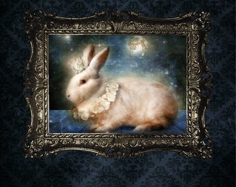 White rabbit art | Etsy