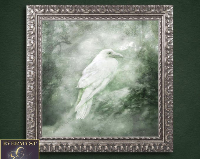 Winter White Raven - Etsy