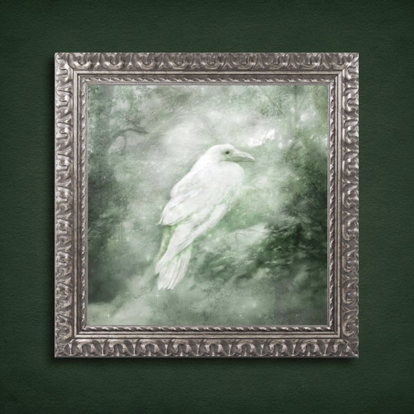 White Raven Art - Etsy