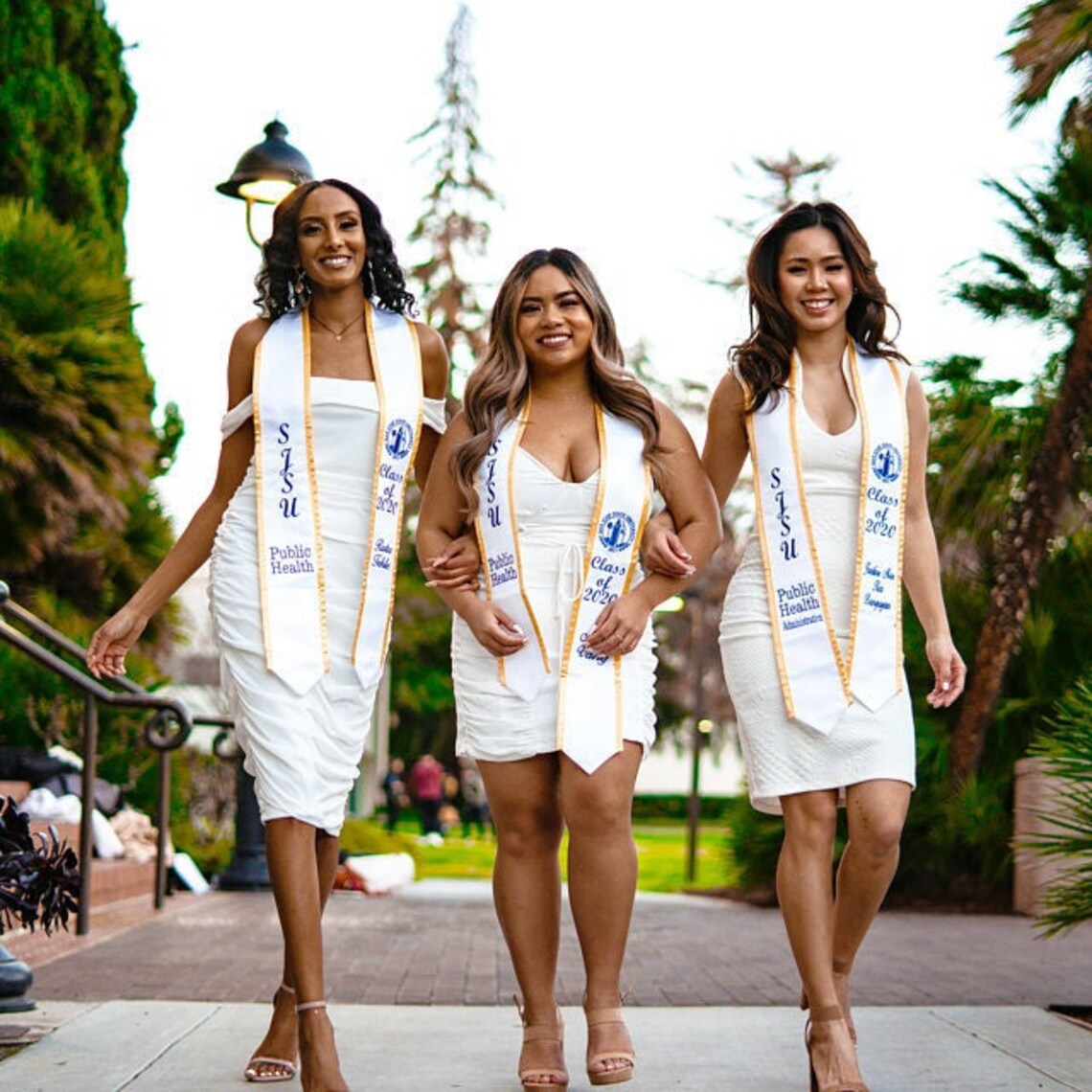 Graduation Stoles Slanted or Pointed/right Side SJSU Vertical / Degree ...