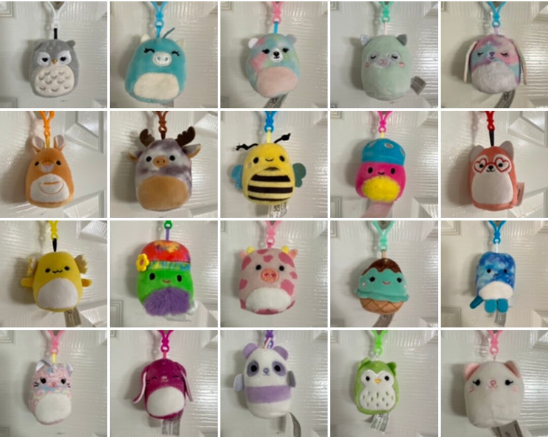 CUSTOM Personalized 2 Squishville Squishmallow by Kellytoy Clip ...