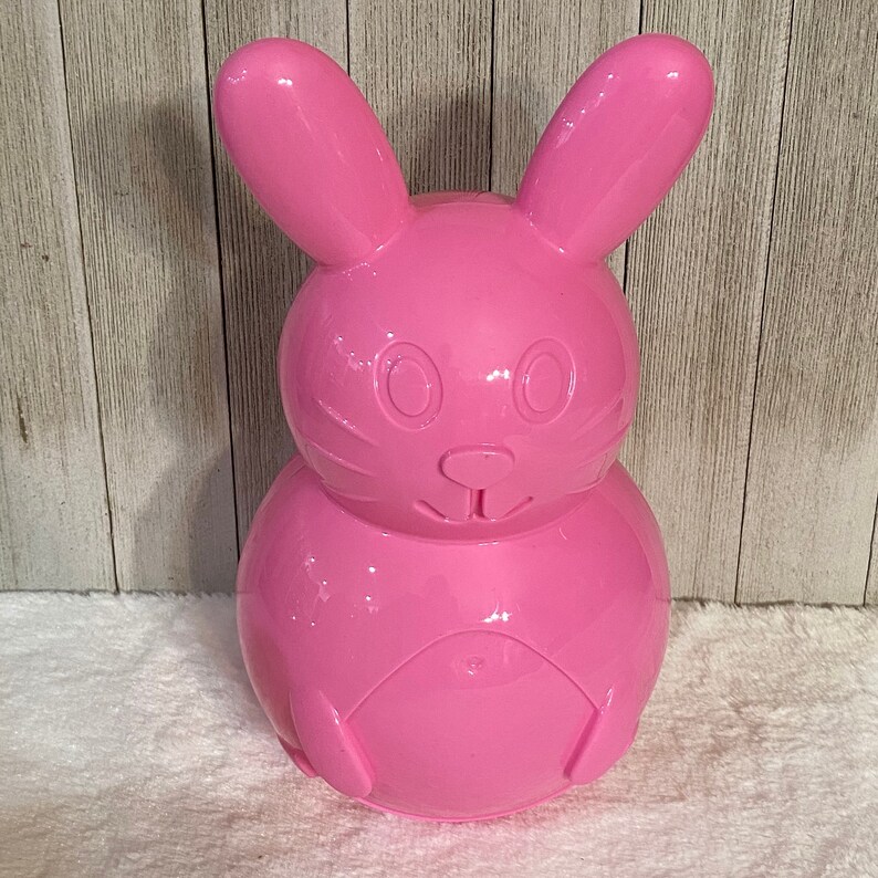 CUSTOM Personalized 10 Inch Plastic Fillable Easter Bunny - Etsy