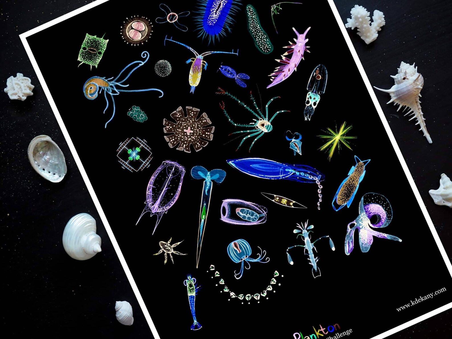Plankton Poster Inktober Challenge Fine Art Print Ocean Lover Home ...