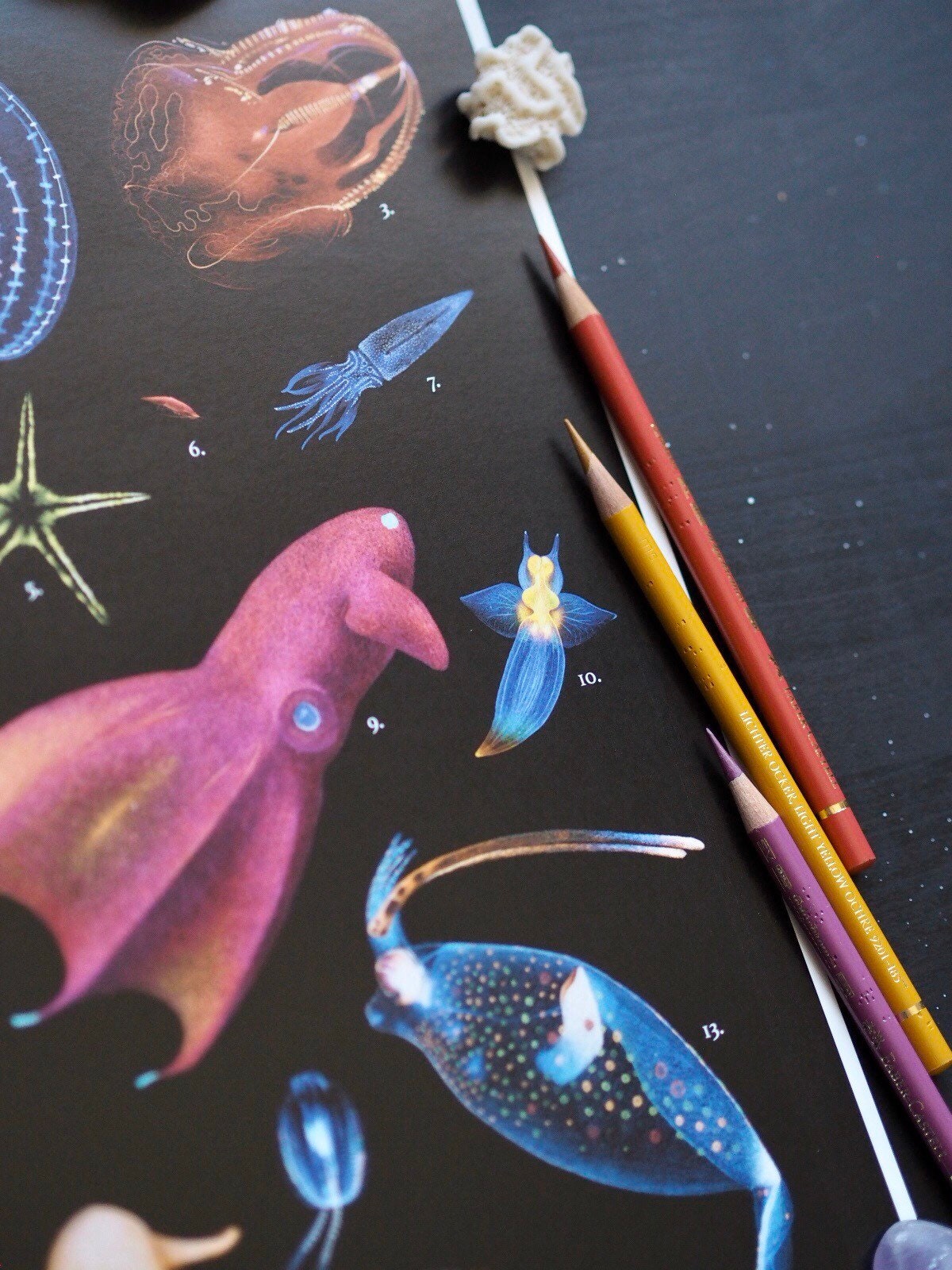 Deep Sea Creatures Poster Extra Heavyweight Matte Print A3 - Etsy