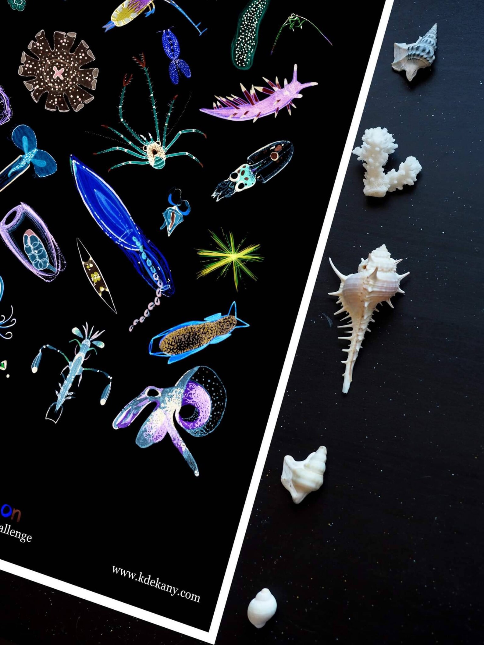 Plankton Poster Inktober Challenge Fine Art Print Ocean Lover Home ...