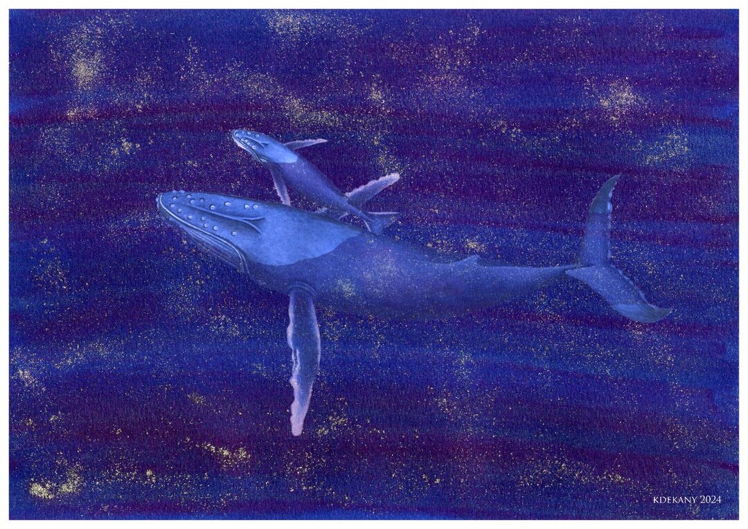 Protection Mother Humpback Whale 2024 Mother's Day Special Ocean Love ...