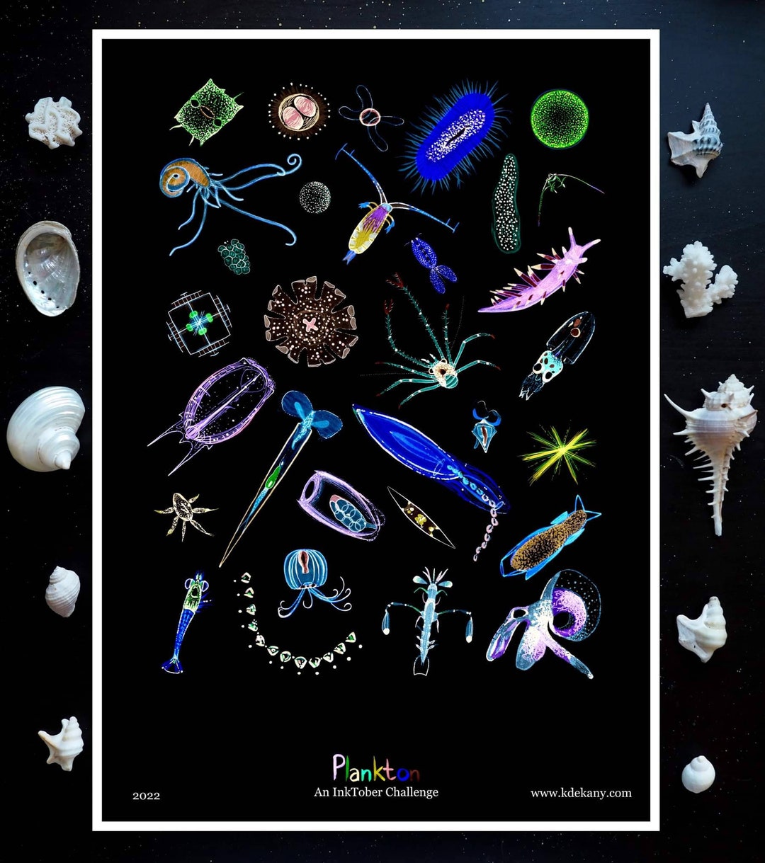 Plankton Poster Inktober Challenge Fine Art Print Ocean Lover Home ...