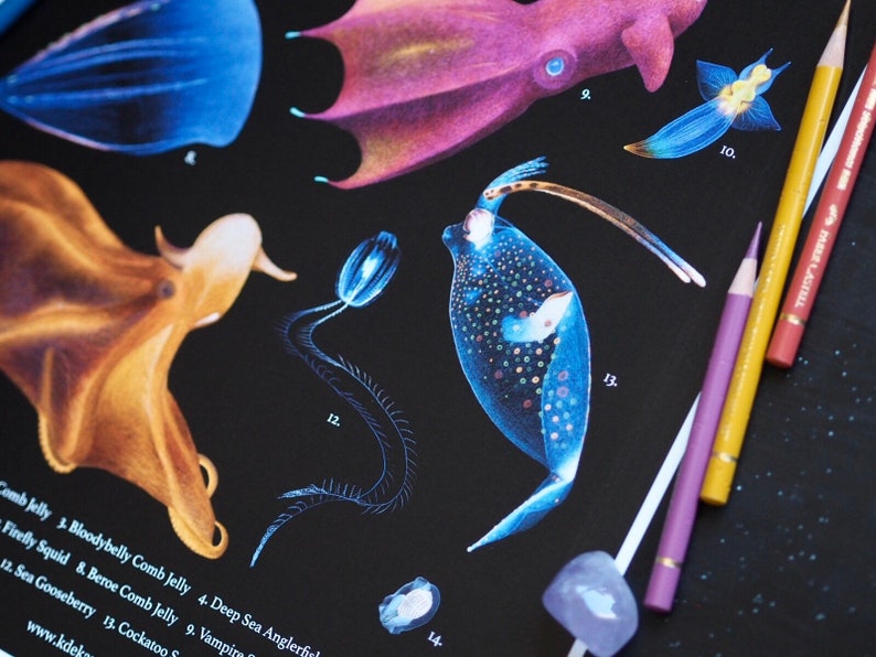 Deep Sea Creatures Poster Extra Heavyweight Matte Print A3 | Etsy