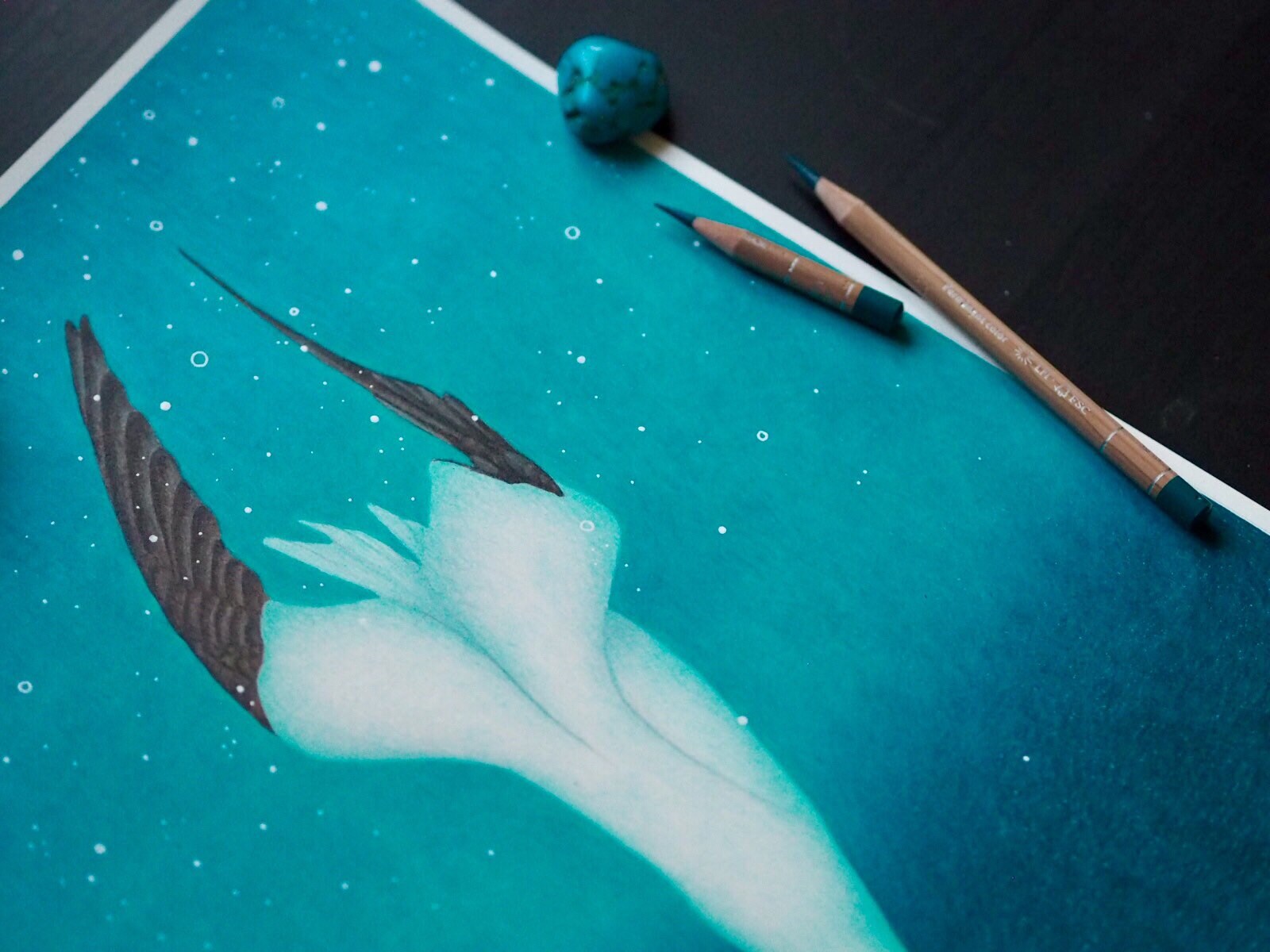 The Diving Gannet Fine Art Print Extra Heavyweight Matte A3 Seabird ...