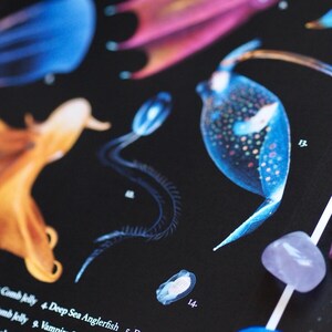 Deep Sea Creatures Poster Extra Heavyweight Matte Print A3 - Etsy