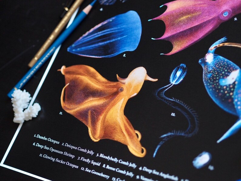Deep Sea Creatures Poster Extra Heavyweight Matte Print A3 - Etsy