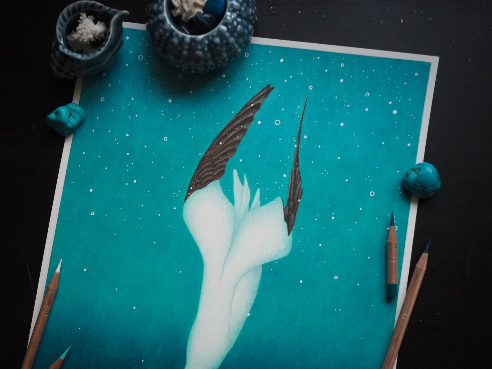 The Diving Gannet Fine Art Print Extra Heavyweight Matte A3 Seabird ...