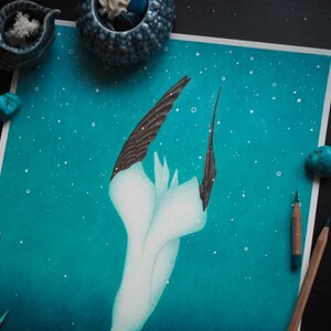 The Diving Gannet Fine Art Print Extra Heavyweight Matte A3 Seabird ...