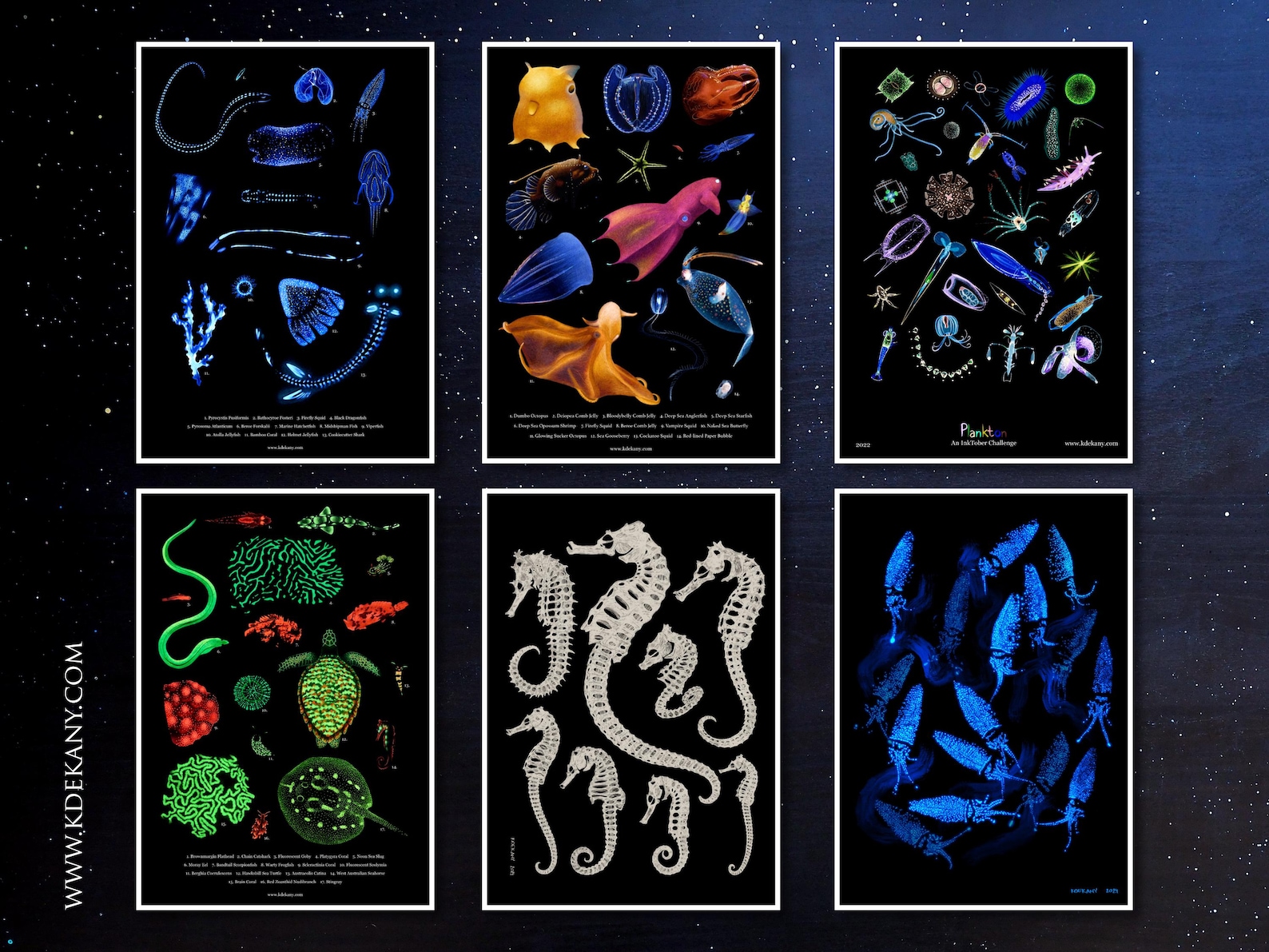 Plankton Poster Inktober Challenge Fine Art Print Ocean Lover Home ...