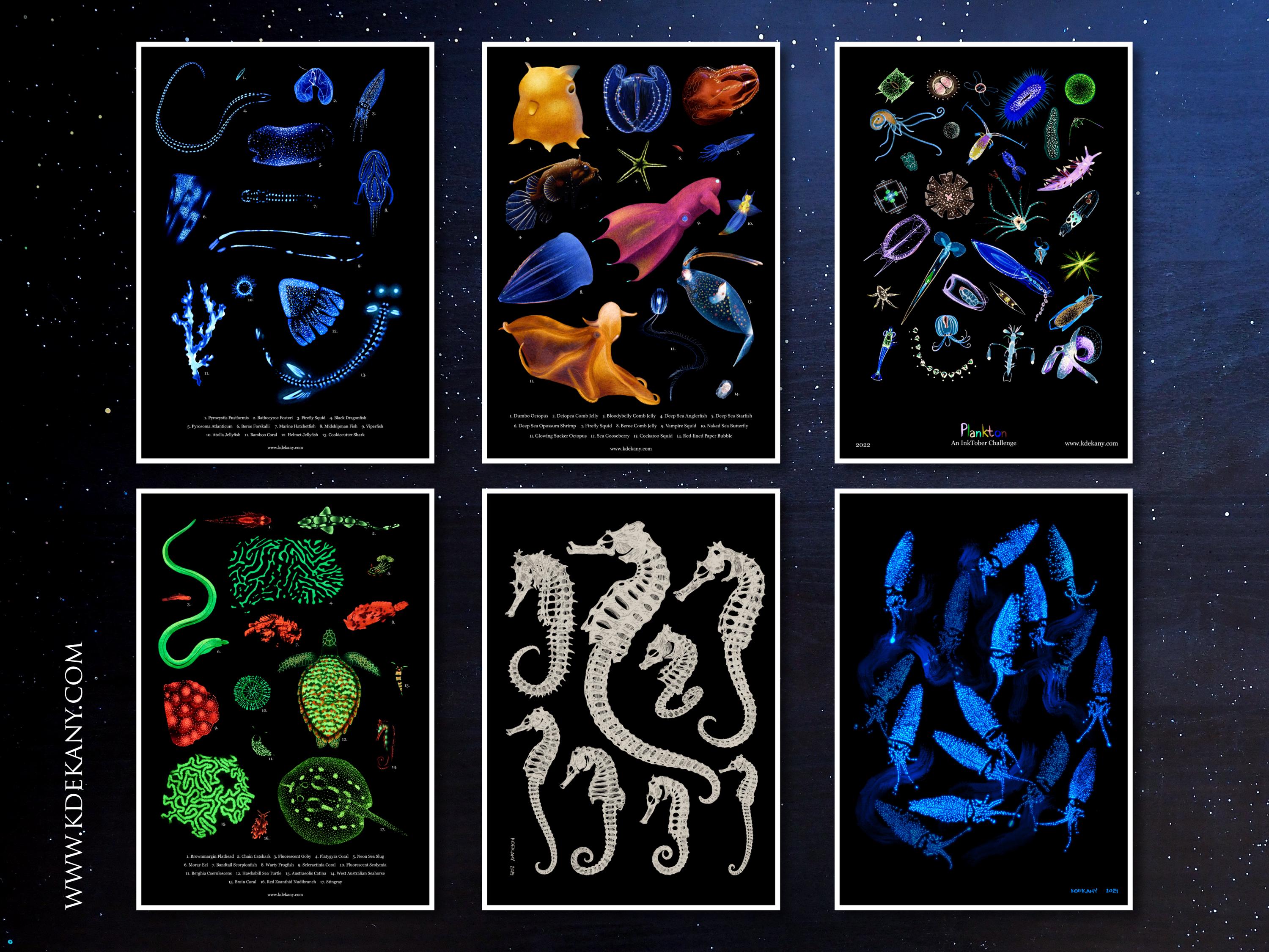 Plankton Poster Inktober Challenge Fine Art Print Ocean Lover Home ...
