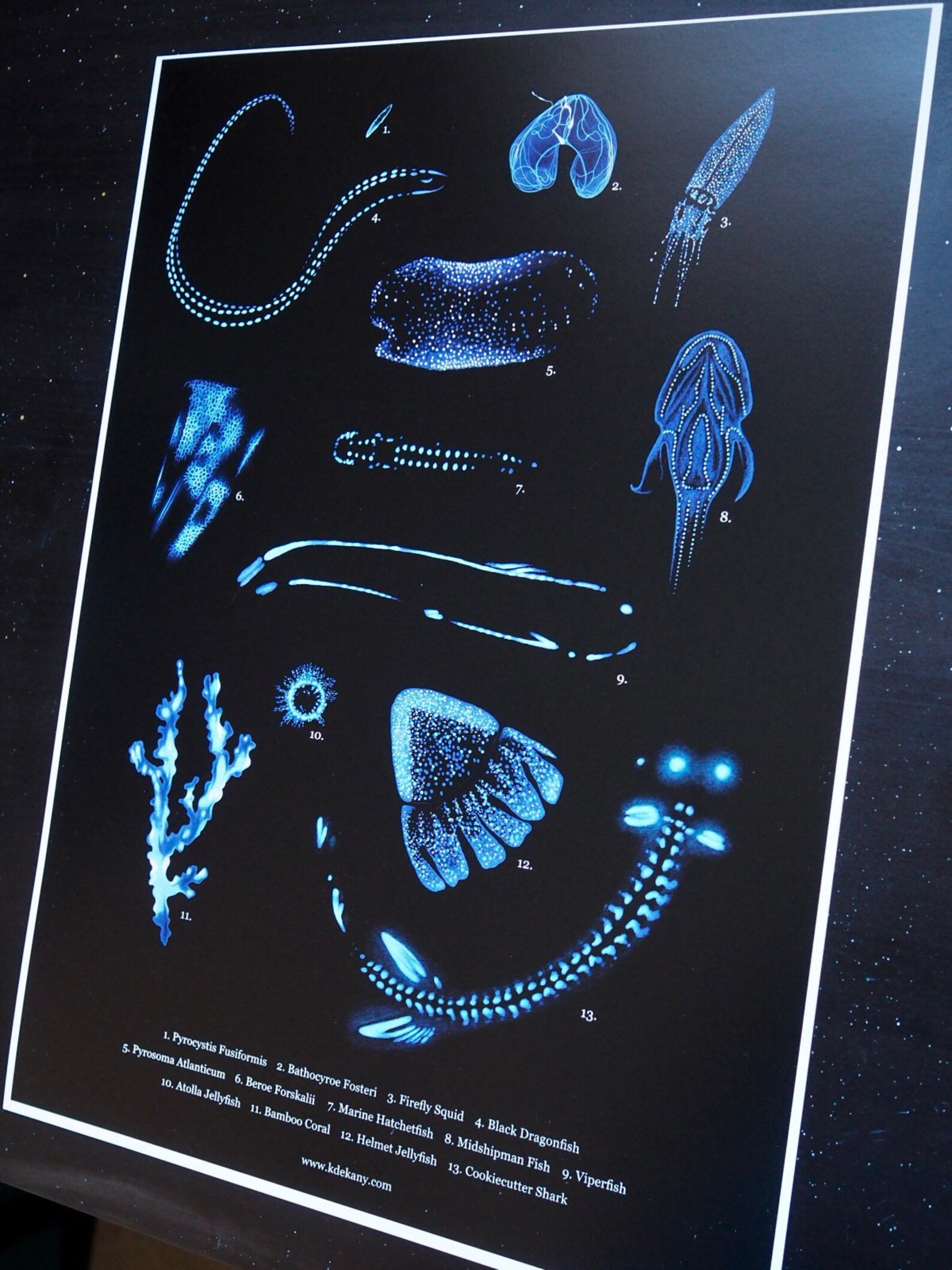Deep Sea Bioluminescence Glowing Creatures Fine Art Print | Etsy