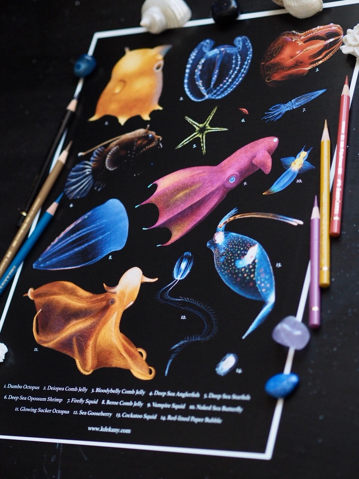 Deep Sea Creatures Poster Extra Heavyweight Matte Print A3 - Etsy