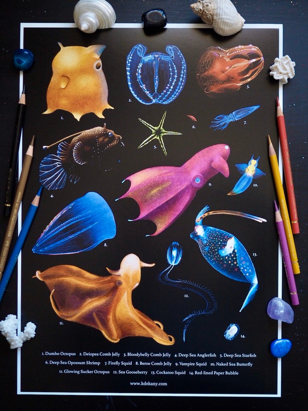 Deep Sea Creatures Poster Extra Heavyweight Matte Print A3 - Etsy