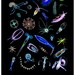 Plankton Poster Inktober Challenge Fine Art Print Ocean Lover Home ...