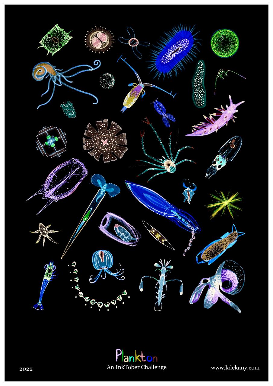 Plankton Poster Inktober Challenge Fine Art Print Ocean Lover Home ...