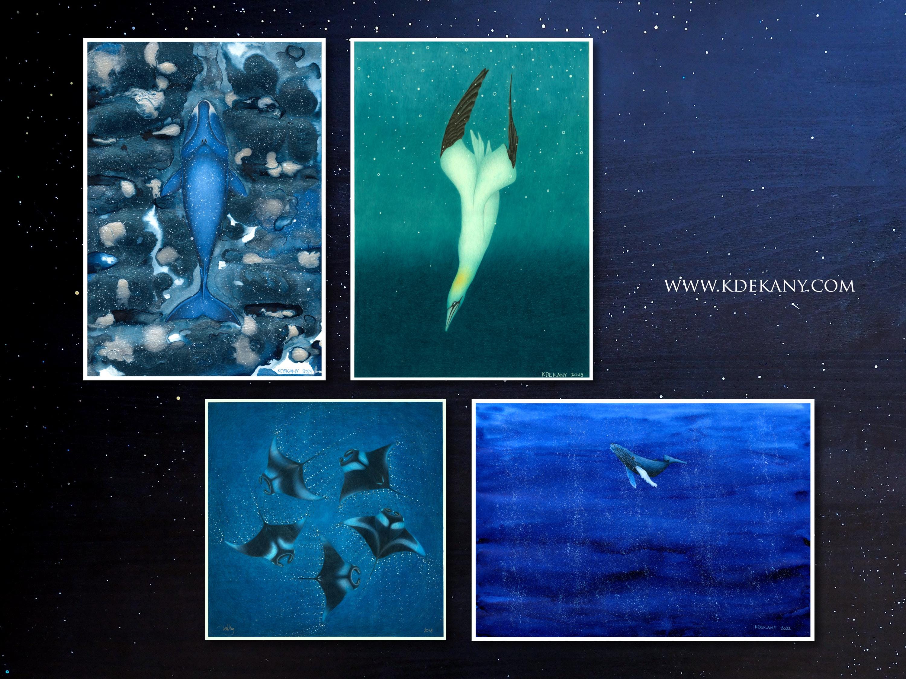 The Diving Gannet Fine Art Print Extra Heavyweight Matte A3 Seabird ...