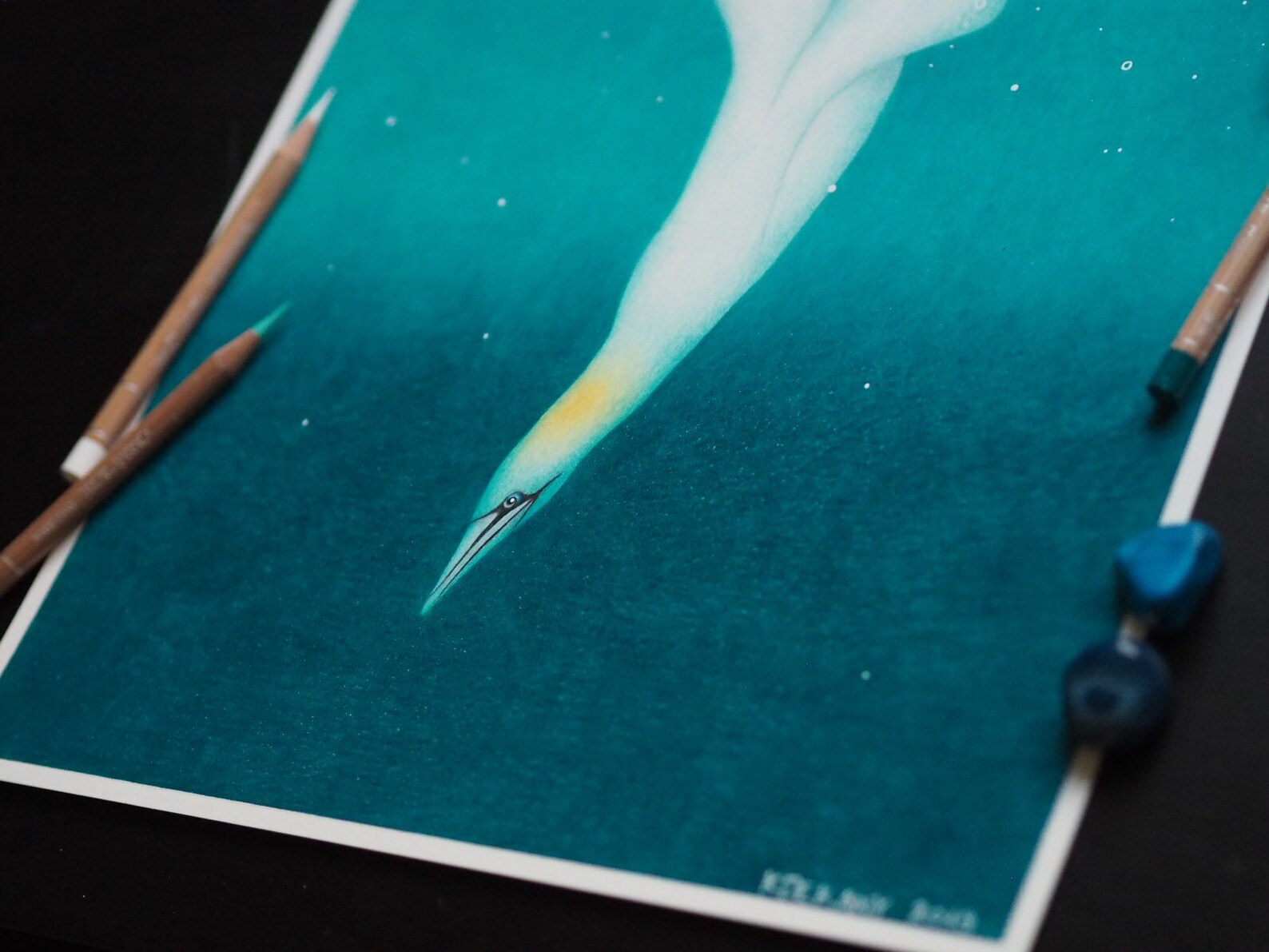 The Diving Gannet Fine Art Print Extra Heavyweight Matte A3 Seabird ...