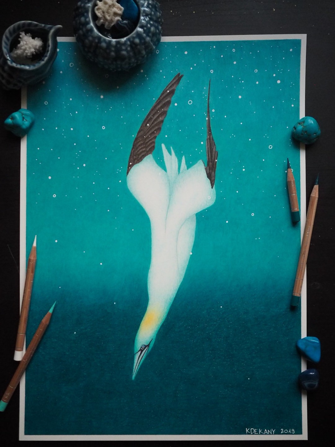 The Diving Gannet Fine Art Print Extra Heavyweight Matte A3 Seabird ...